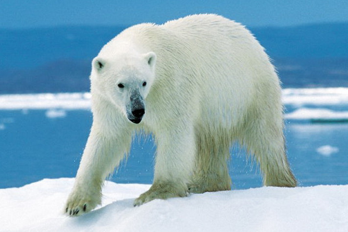 Enda mer gass - Geo365