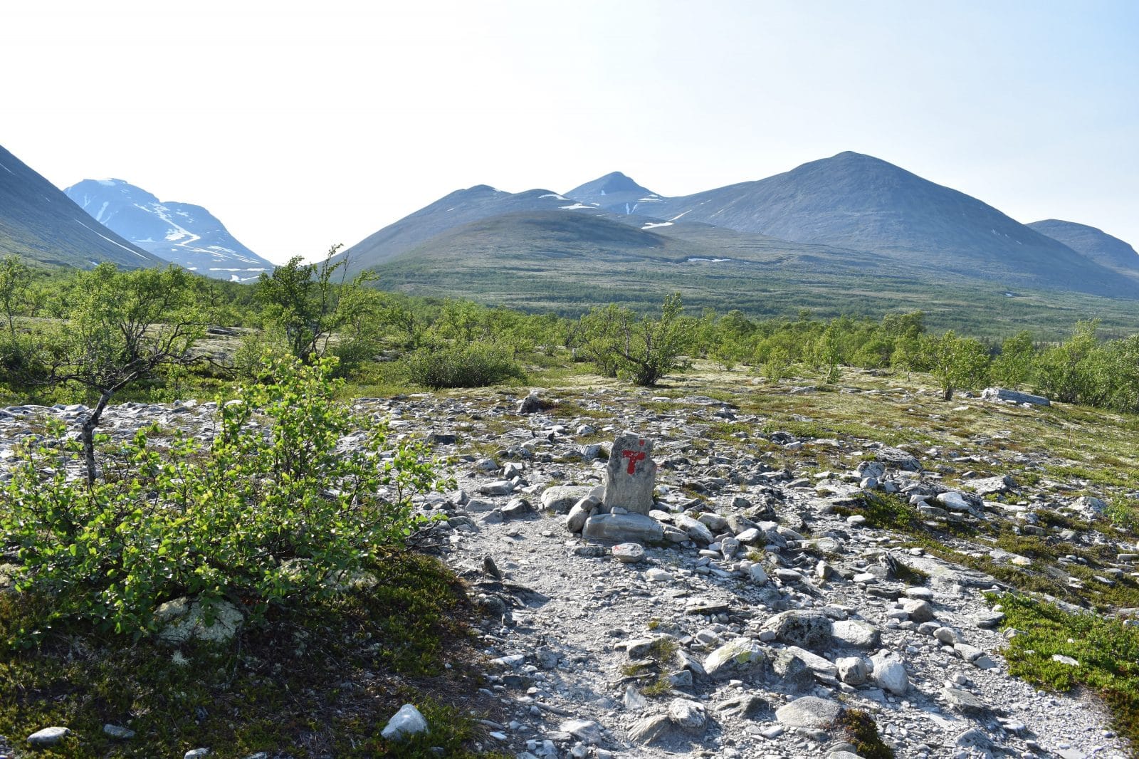 Bunnmorene: Vår mest utbredte jordart - Geo365