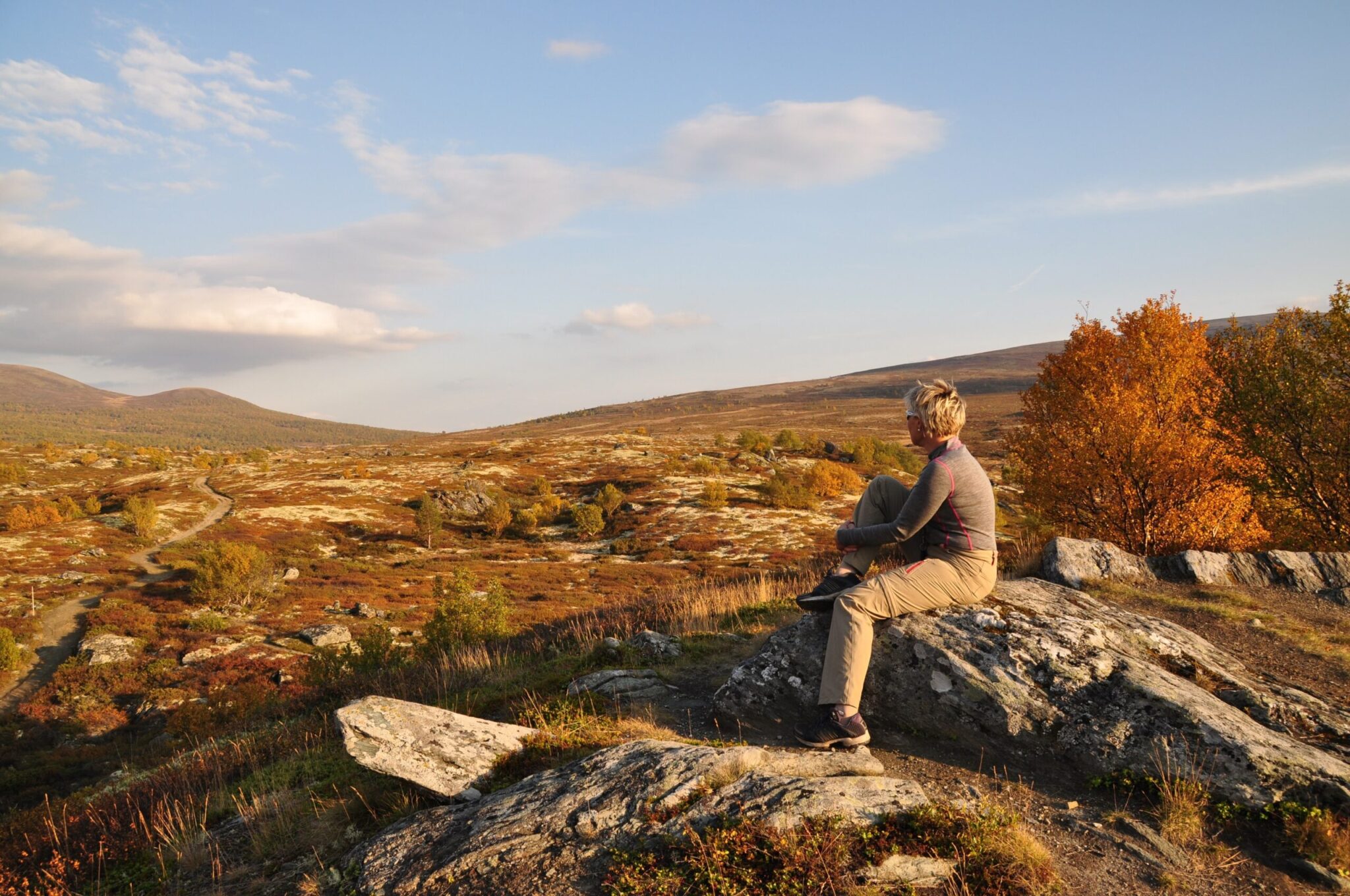 Bunnmorene: Vår mest utbredte jordart - Geo365