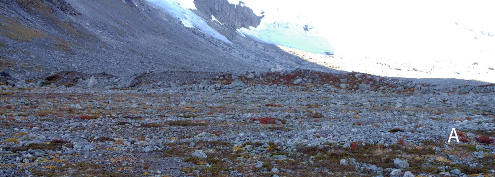 Jens Esmarks veier til Istiden - Geo365