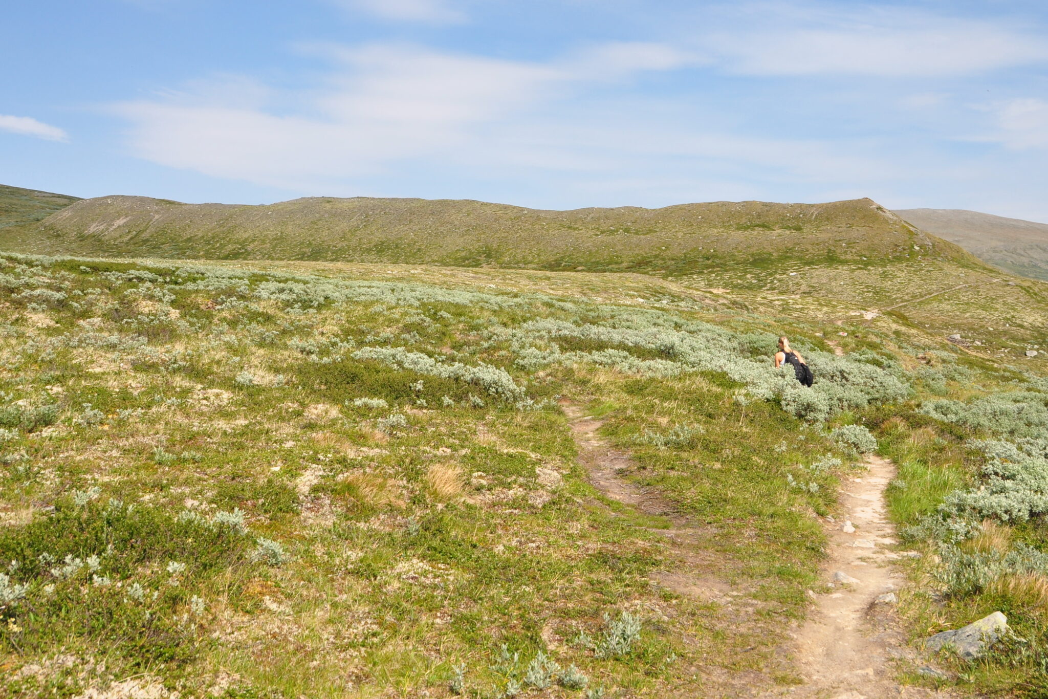 Endemorene – Geo365